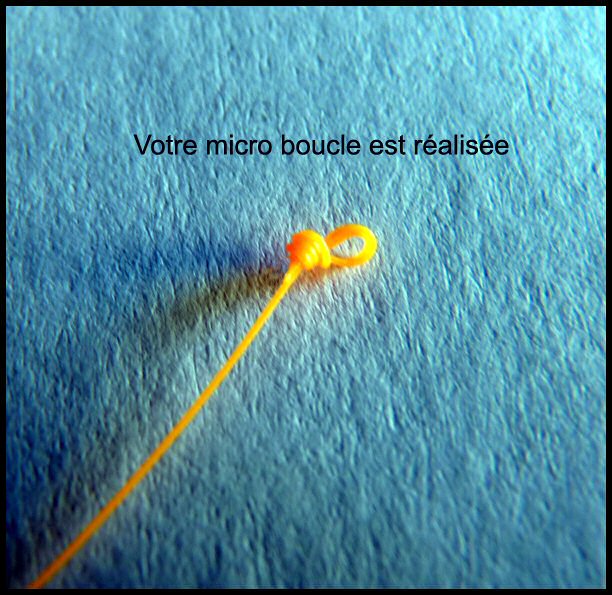 Réalisation d’une micro boucle – TRUITES & COMPAGNIES