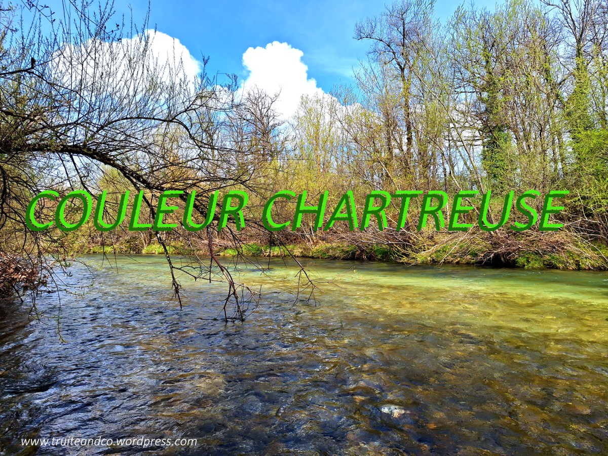 JIG tinsel Chartreuse #14 – TRUITES & COMPAGNIES
