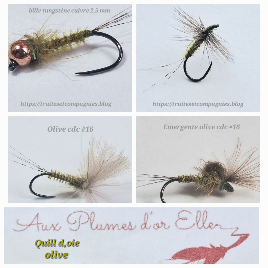 Mes quatre types de mouches pour ce début de la saison – TRUITES ...